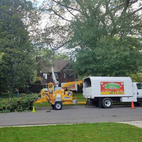 Tri-County Tree & All Firewood | Serving the Tri-County Area